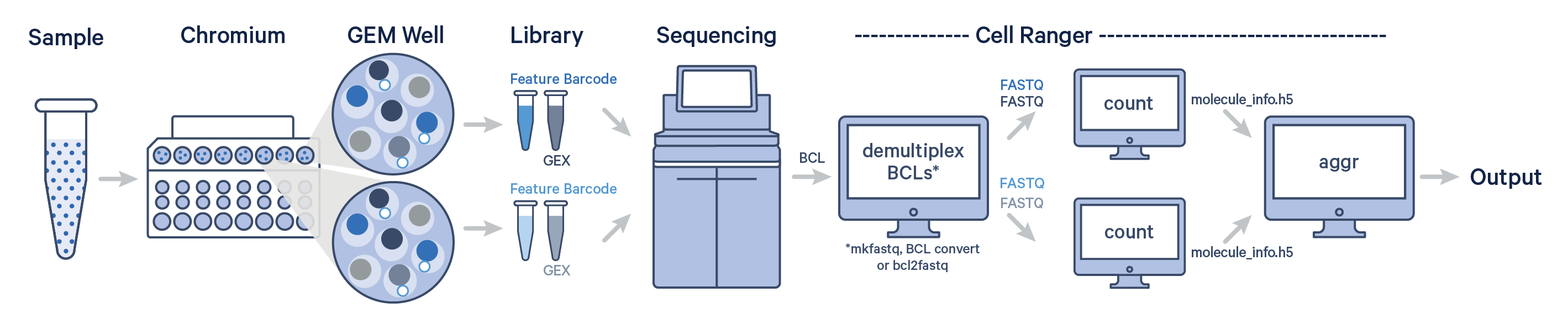 What is Cell Ranger? - Official 10x Genomics Support